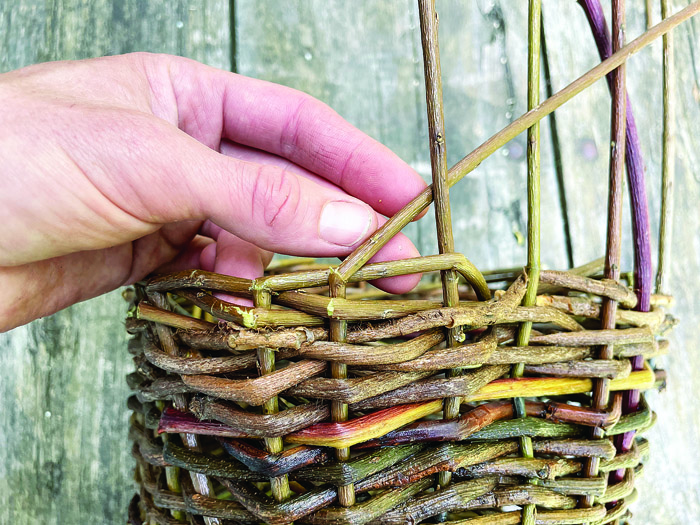 How to Make a Basket Out of Natural Materials – Mother Earth News